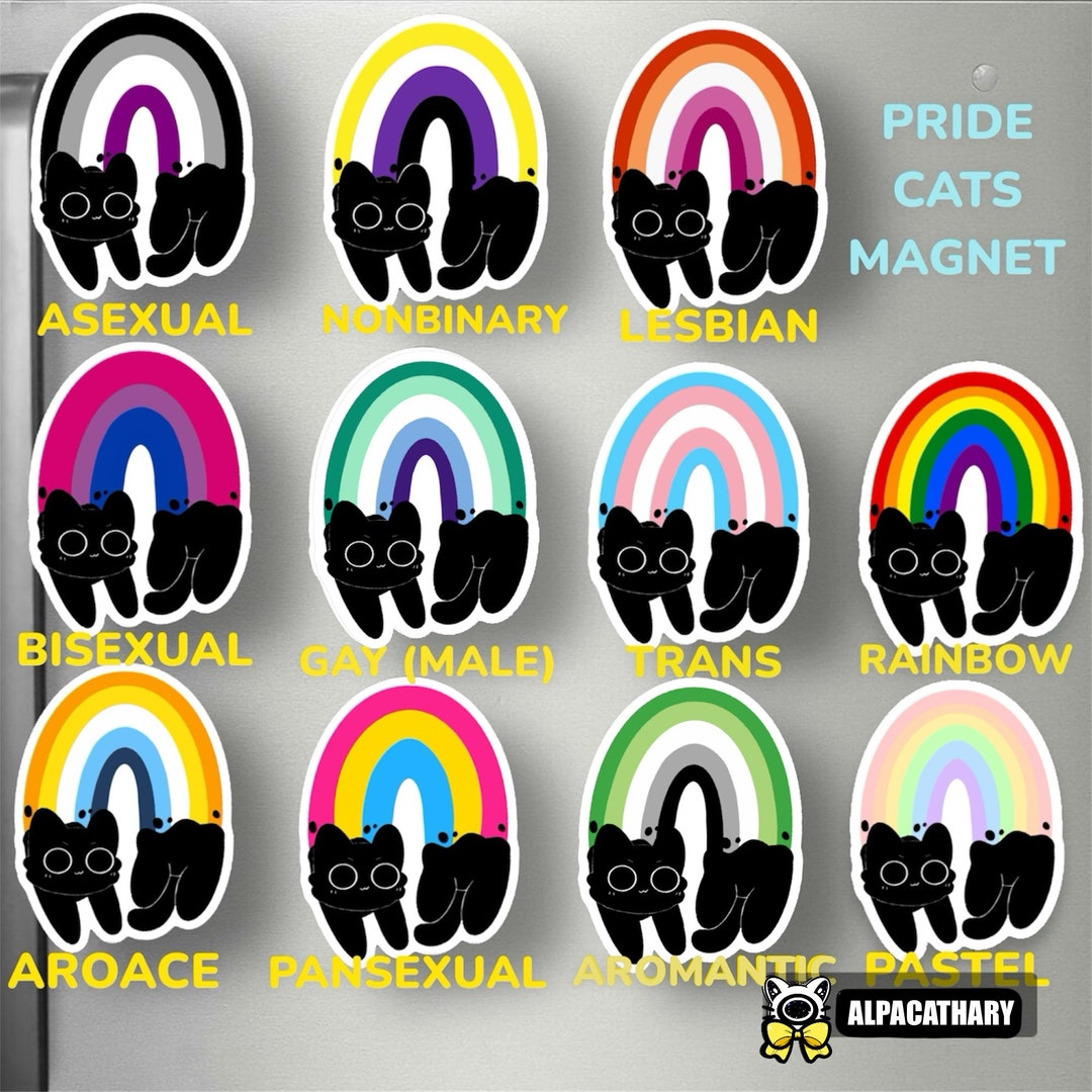 PRIDE LGBTQ+ Rainbow Cats Flat Magnets - Etsy