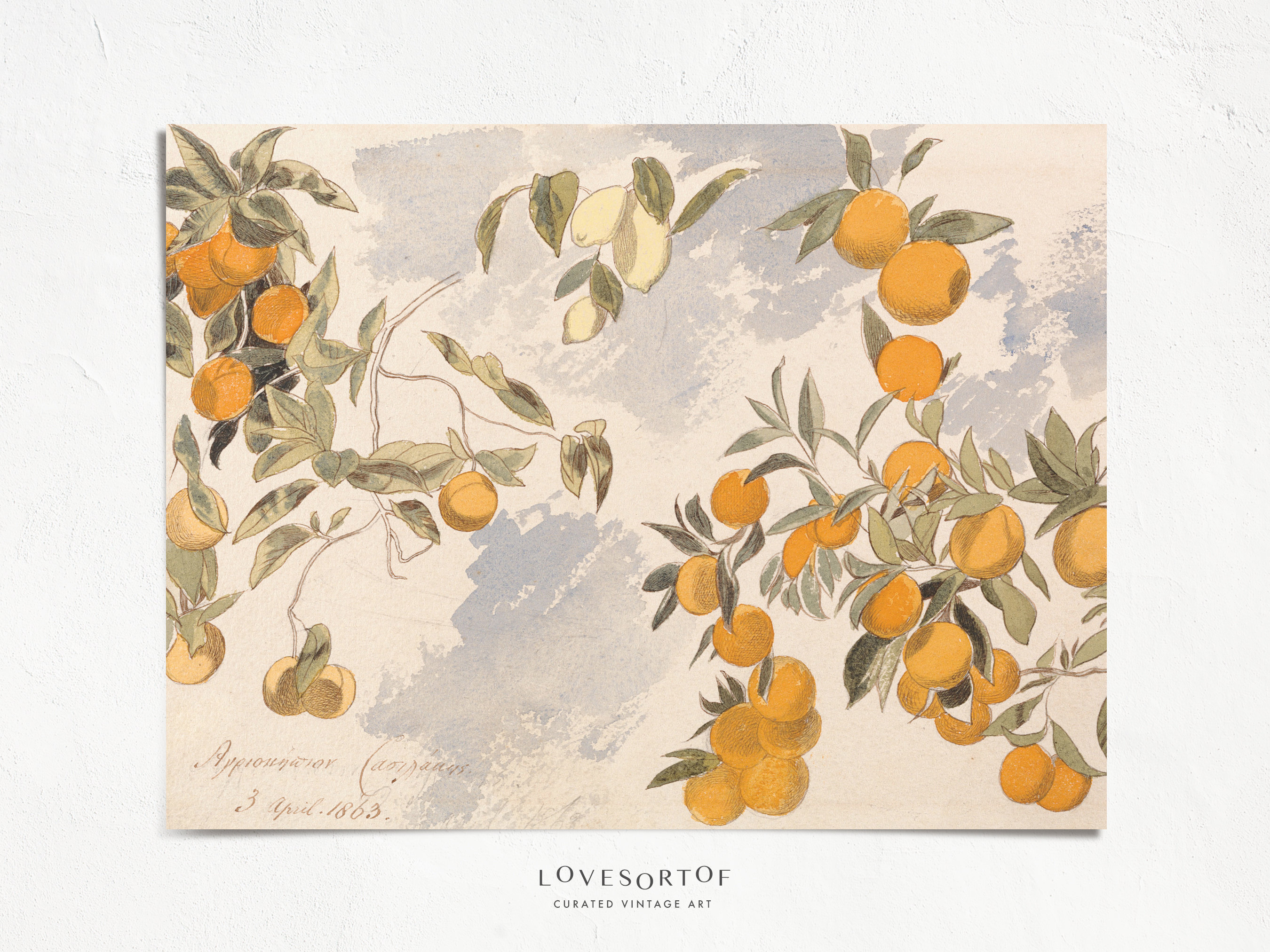 Lemon Tree Art Gallery