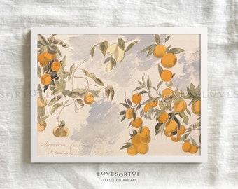 Lemon Tree Poster - Etsy