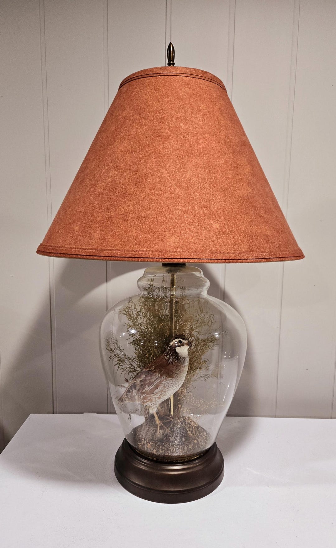 Vintage Real Taxidermy Quail Table Lamp, Wildlife Collection, Trophy Room Decor, Vtg Bird Mount ...