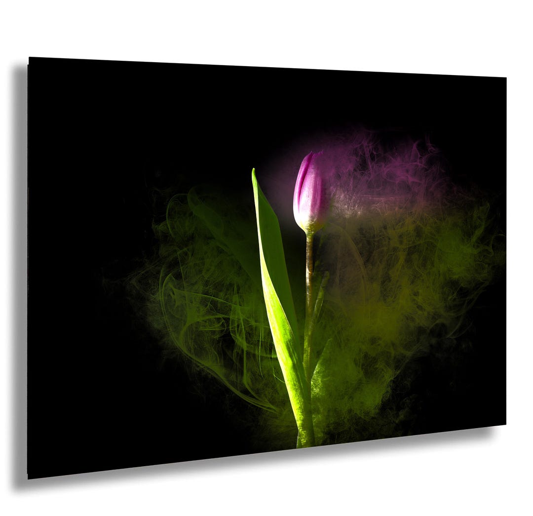 Purple Tulip Smoke Effect Photography: Modern Floral Wall Art - Etsy