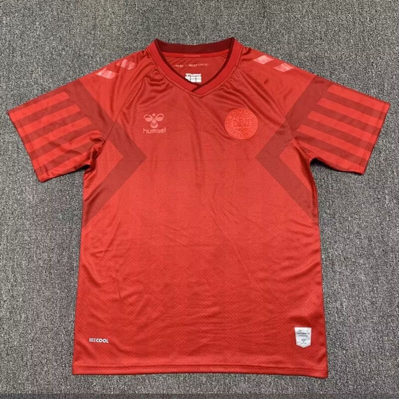 Denmark Jersey - Etsy