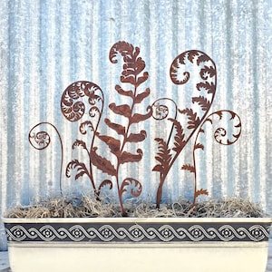 Rusty Fiddlehead Fern Bouquet - Ferns for Plant Pot Decoration - Rusted ...