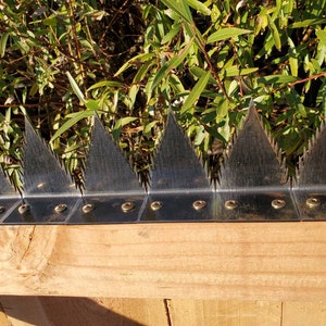 Top Mount Metal Security Fence Wall Spikes Set of 10 | Anti-climb Fence ...
