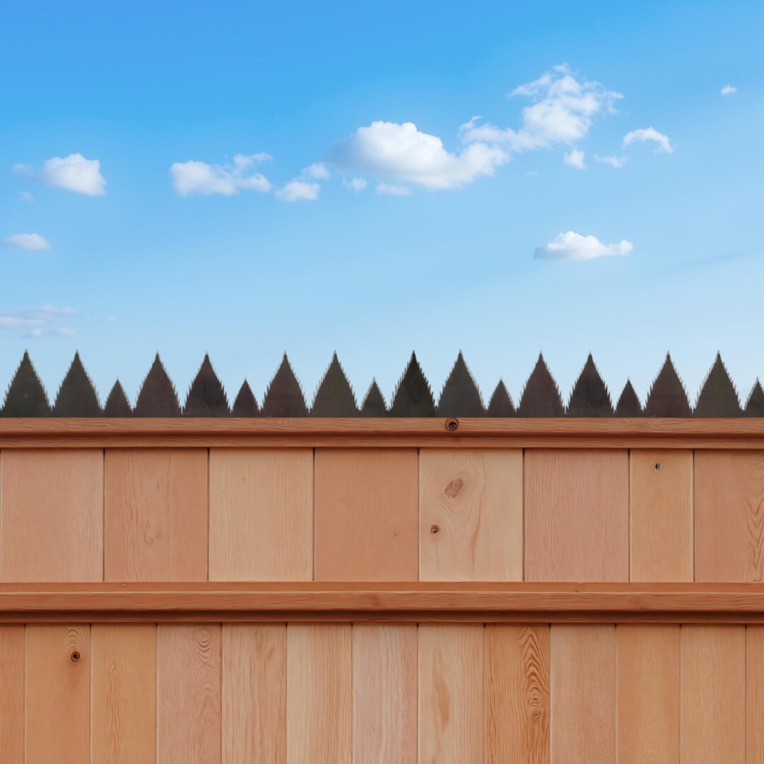 20 Pack 48" Long Side Mount Metal Security Fence Wall Spikes | Anti ...