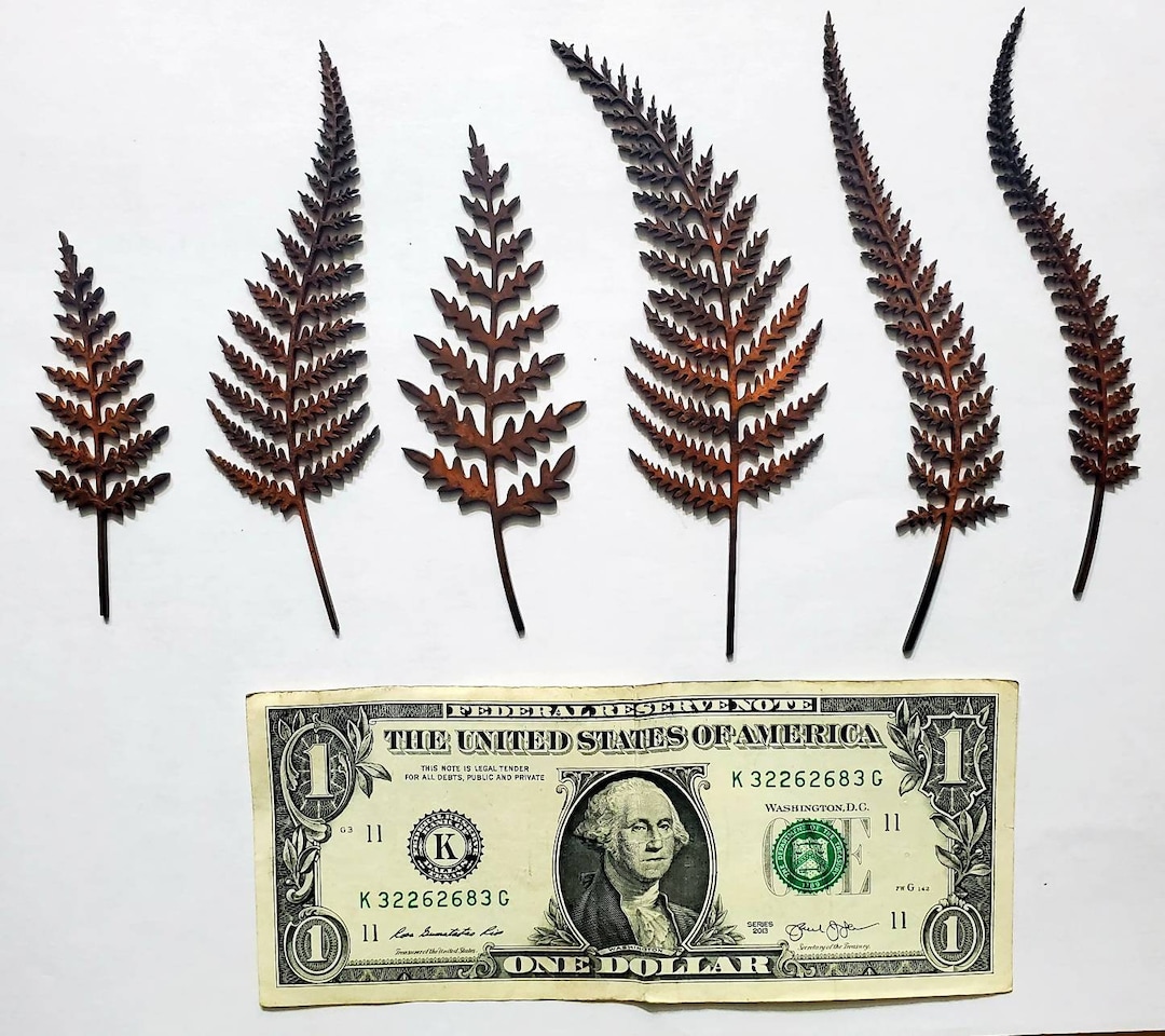Mini Rusty Fern Fronds Bouquet Set - Etsy