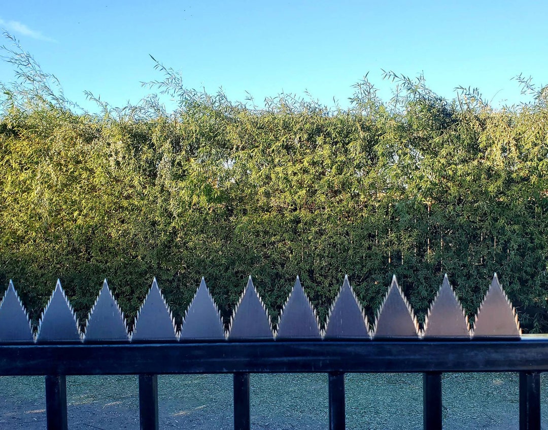 Side Mount Metal Security Fence Wall Spikes Set of 10 Spikes Anti-climb ...