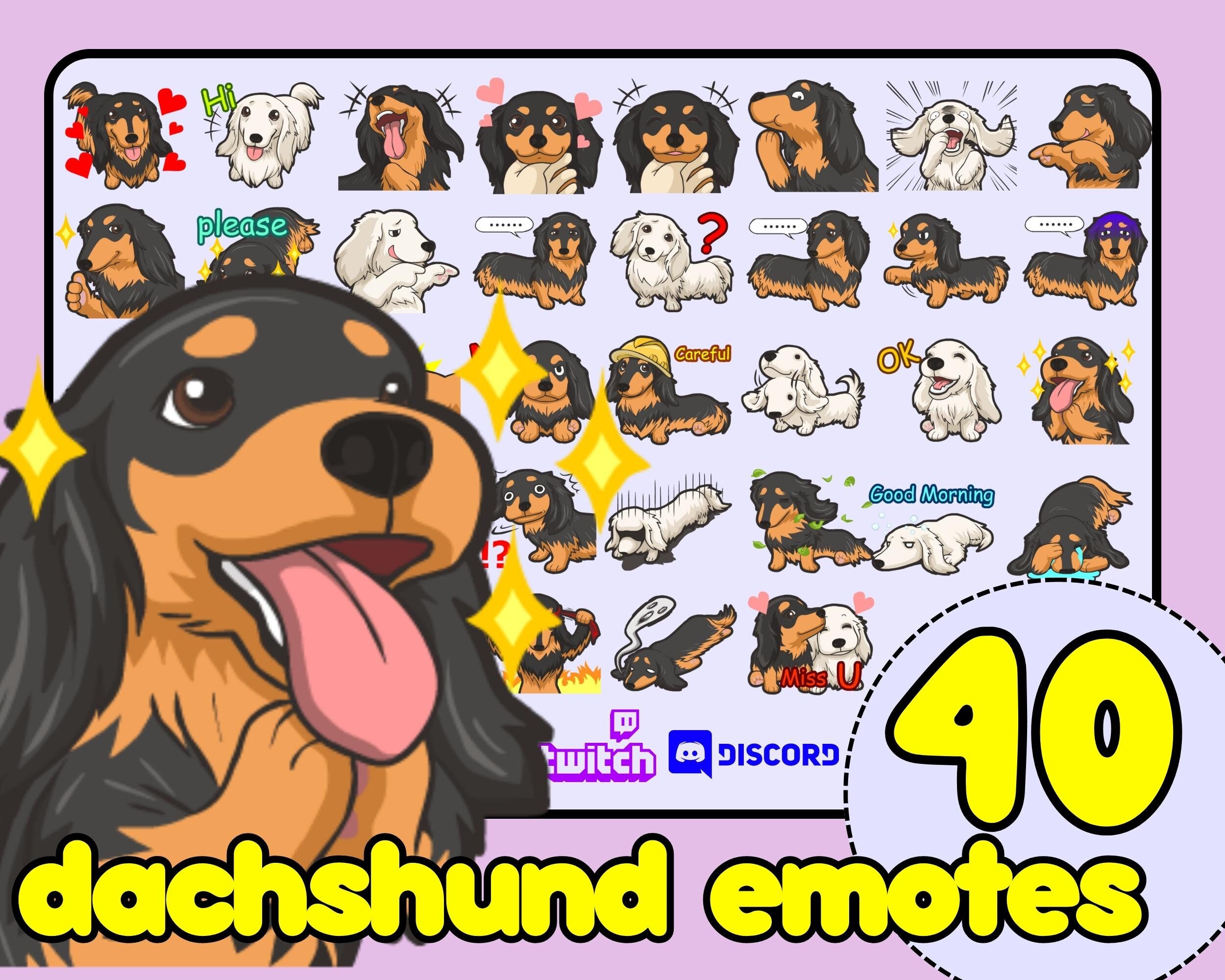 40 Long Haired Dachshund Twitch Emotes Bundle, Dachshund Emotes Dog ...