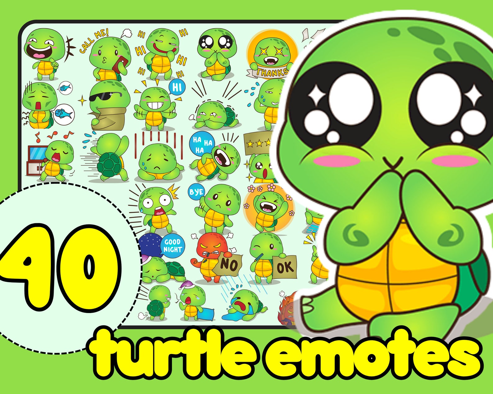 Turtle Emotes, Turtle Twitch Emotes, Turtle Emotes, Turtle Discord ...