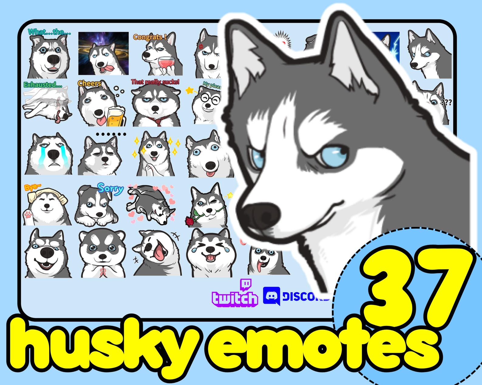 Husky Twitch Emote, Husky Emotes, Cute Husky Emote, Huskey Twitch ...