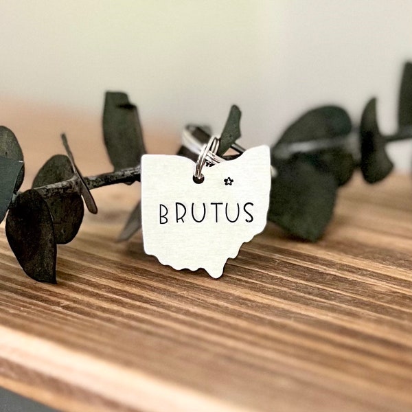 Ohio State Dog - Etsy