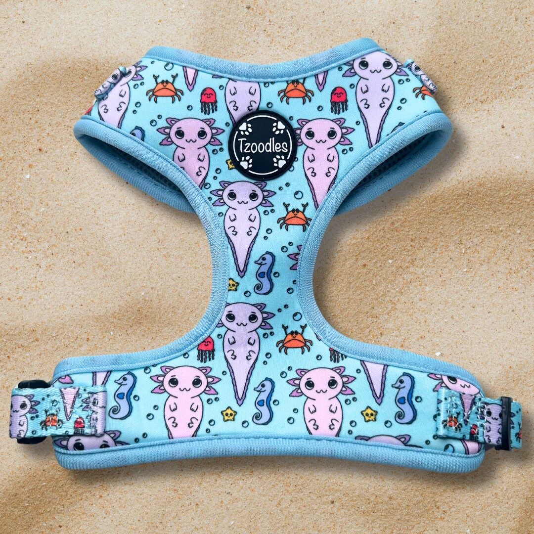 Axolotl & Friends Dog Harness - Etsy