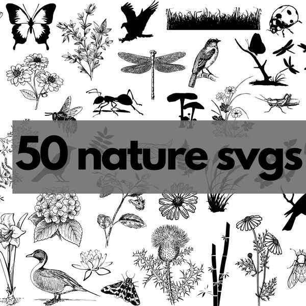 Nature Drawings - Etsy