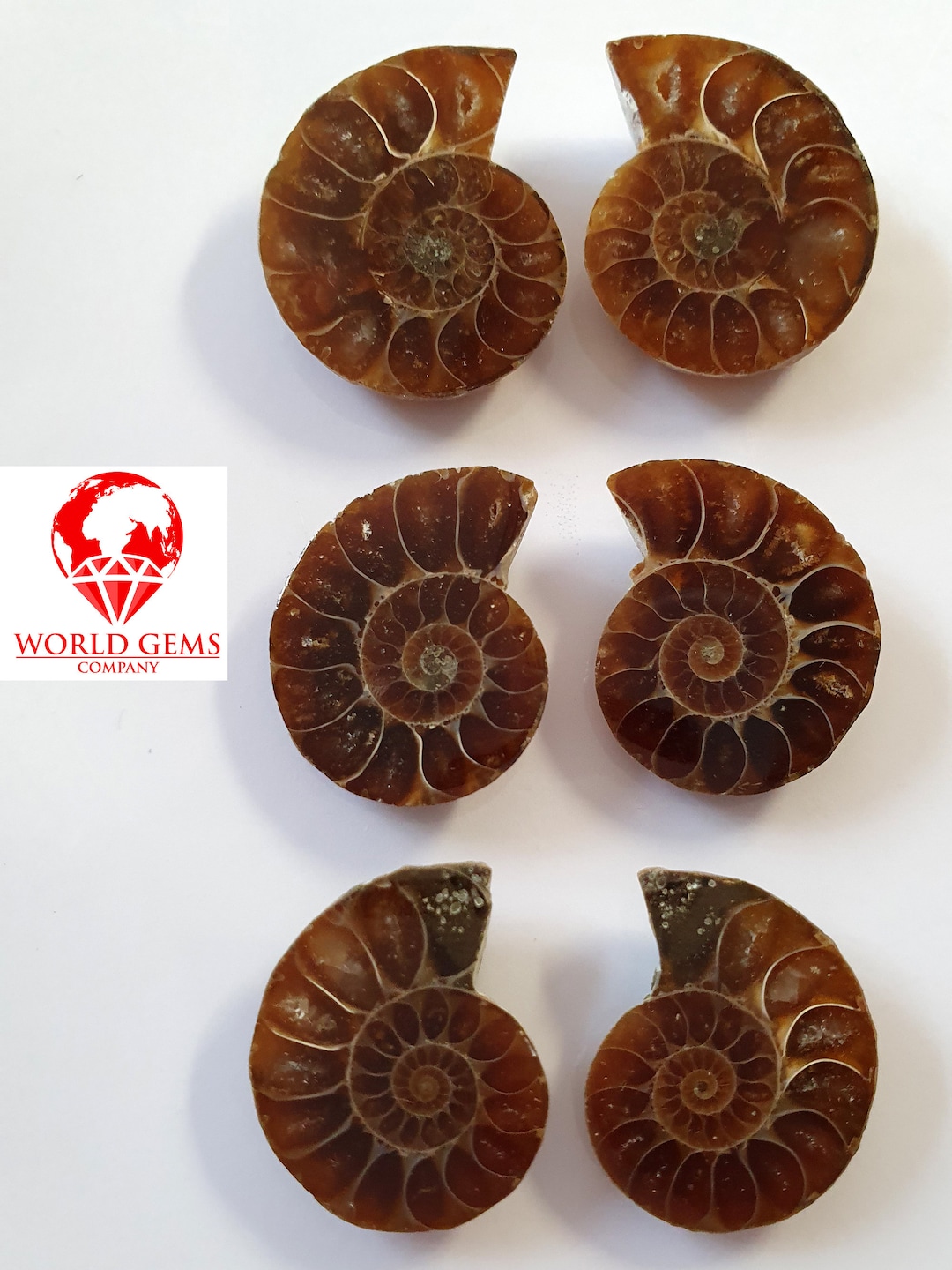 Lot of 3 Pair of Ammonites Piece for the Collection or to Have ...