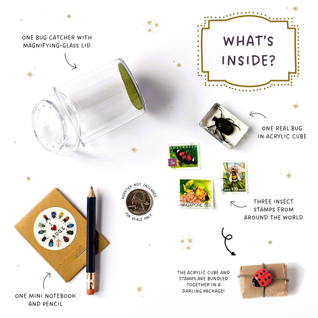 Tooth Fairy Loot Tooth Fairy Gift tooth Fairy Kit Tooth Fairy Letter ...