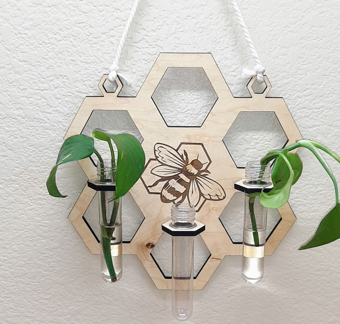 Honey Bee Propagation Station, Plant Wall Hang, Hexagon Planter - Etsy