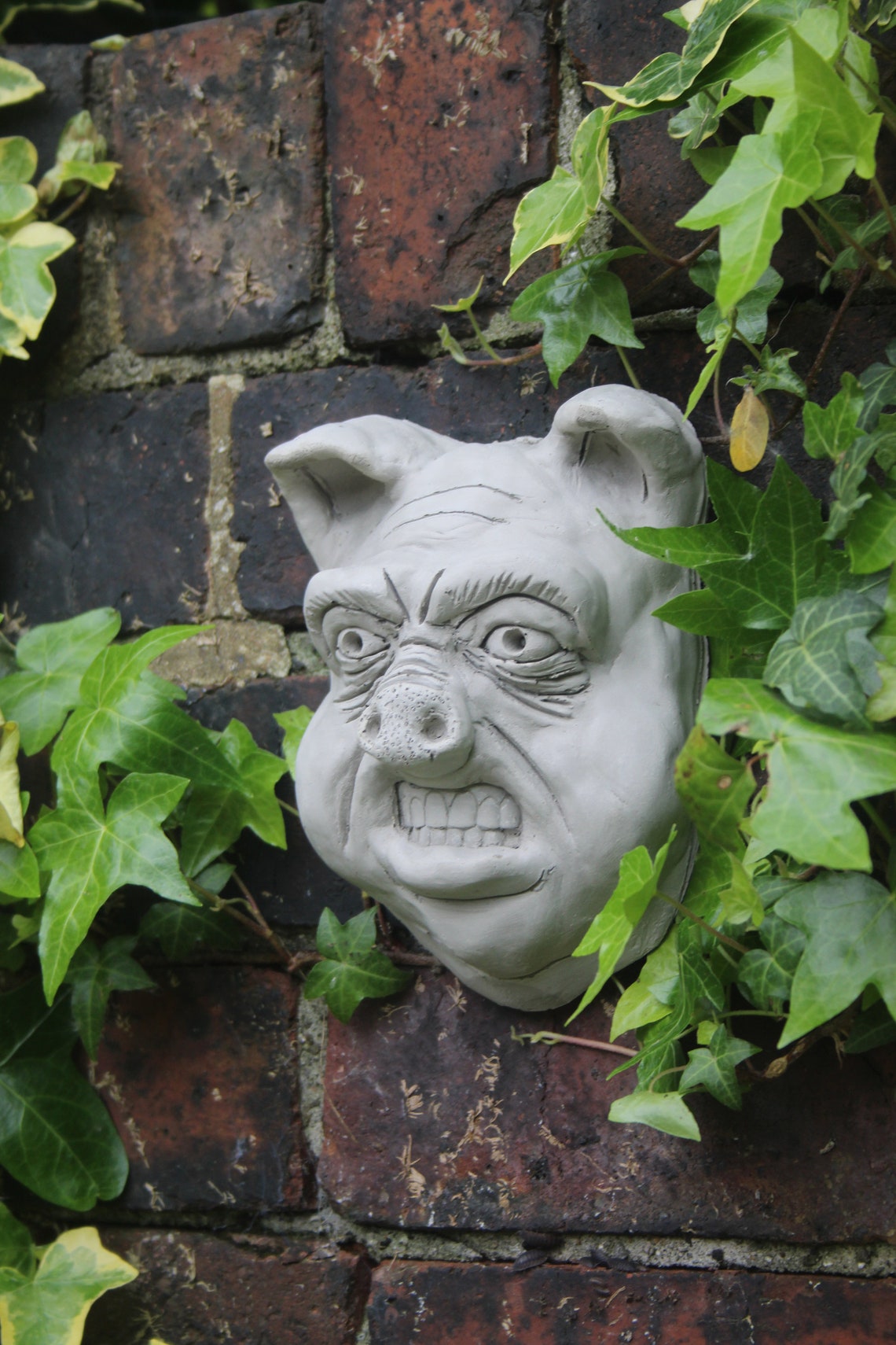 Angry PIG Gargoyle With Dentures. Garden Wall Ornament Hanging - Etsy