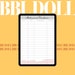 Digital Bbl Planner Bbl Supply List Planner for Bbl Surgery Organizer ...