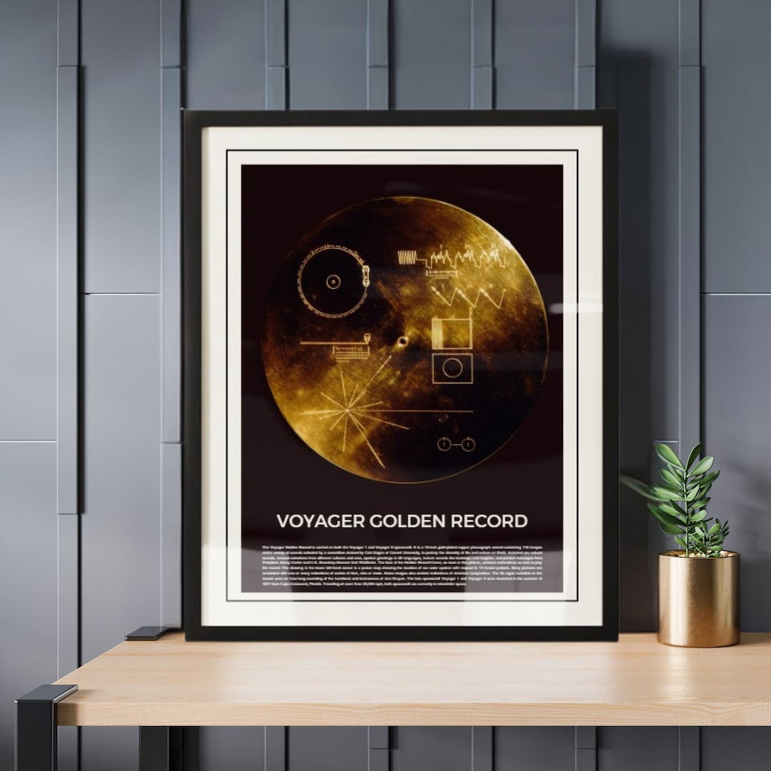 Science Gifts Nerdy Gifts Scientists Space Classroom Decor ...