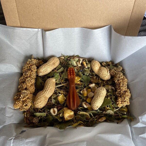 Hamster Forage Box - Etsy UK