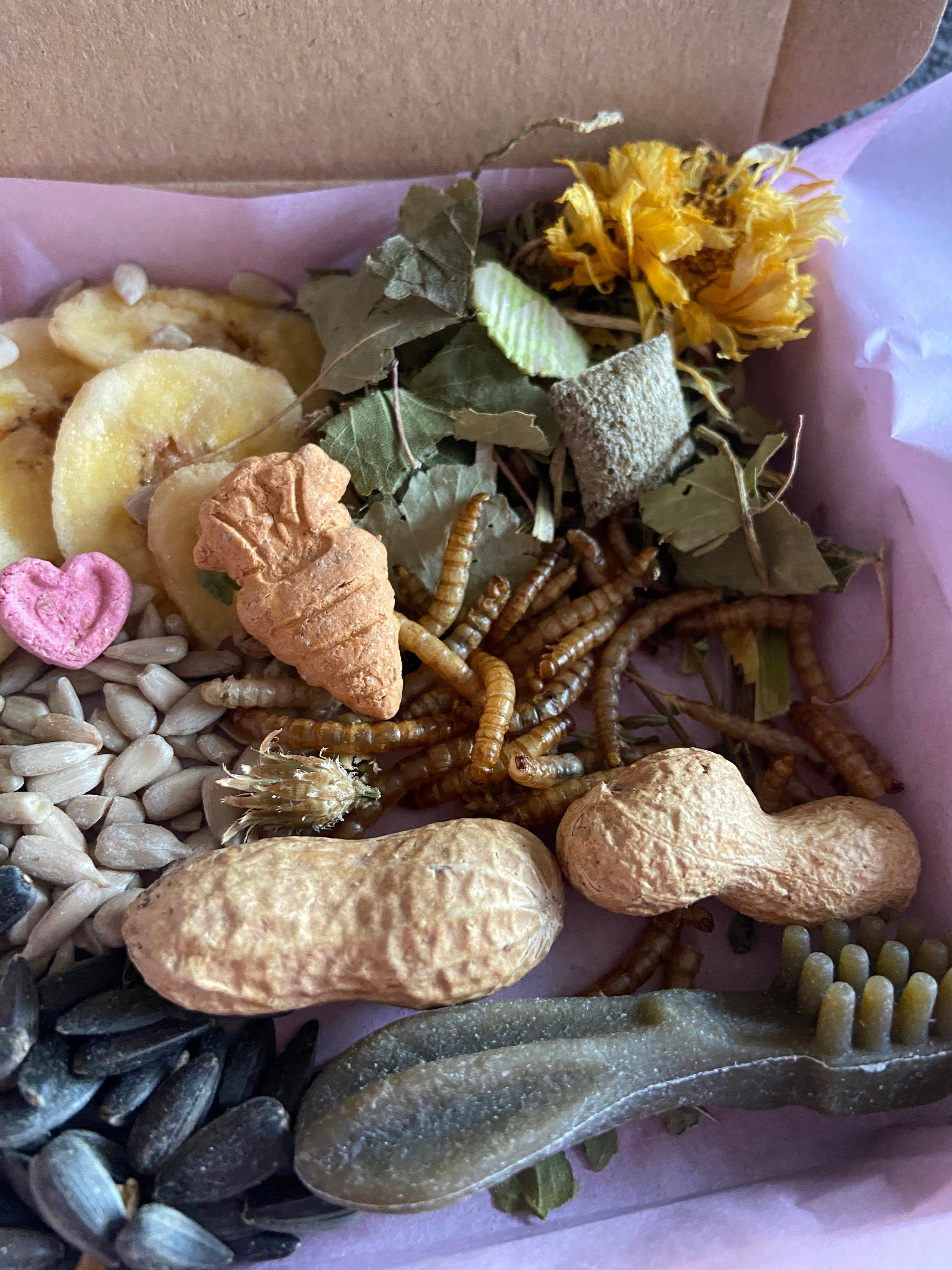 Hamster and Small Animal Treat Box - Etsy UK