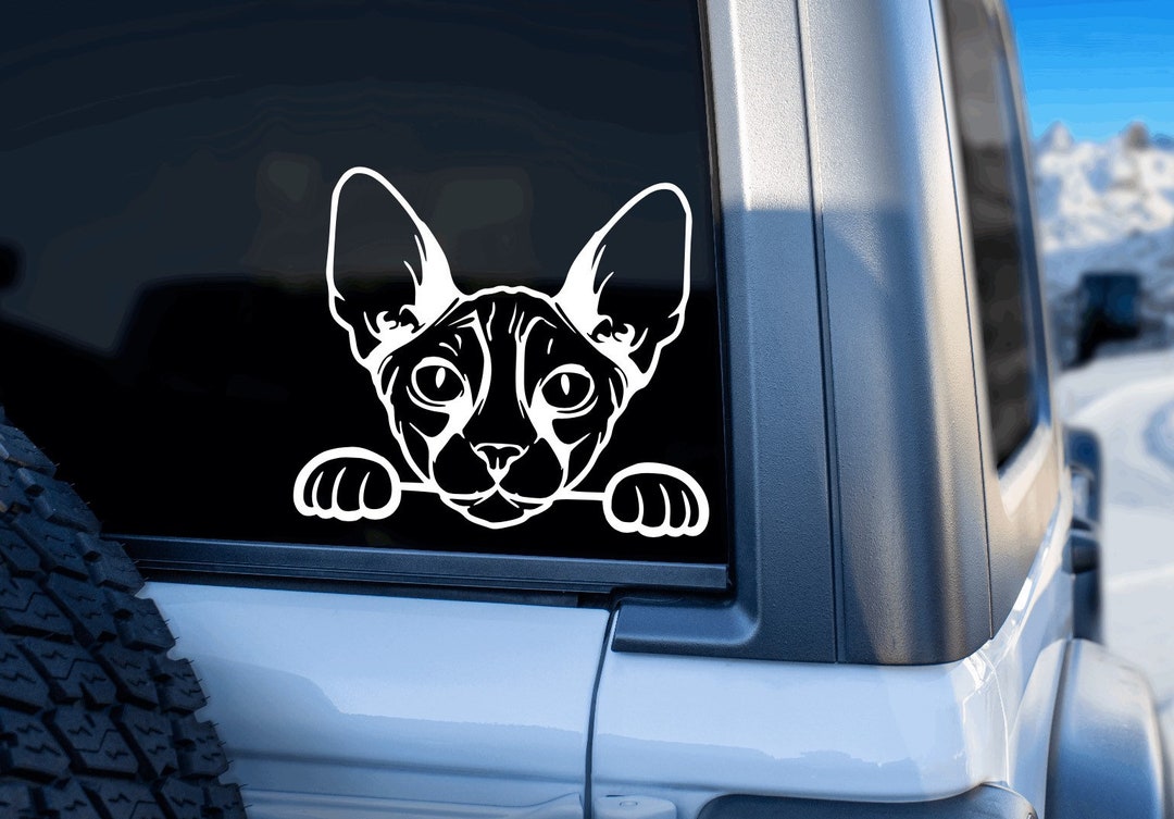 Sphynx Cat Vinyl Decal, Peeking Cat, Kitty, Bumper Sticker - Etsy