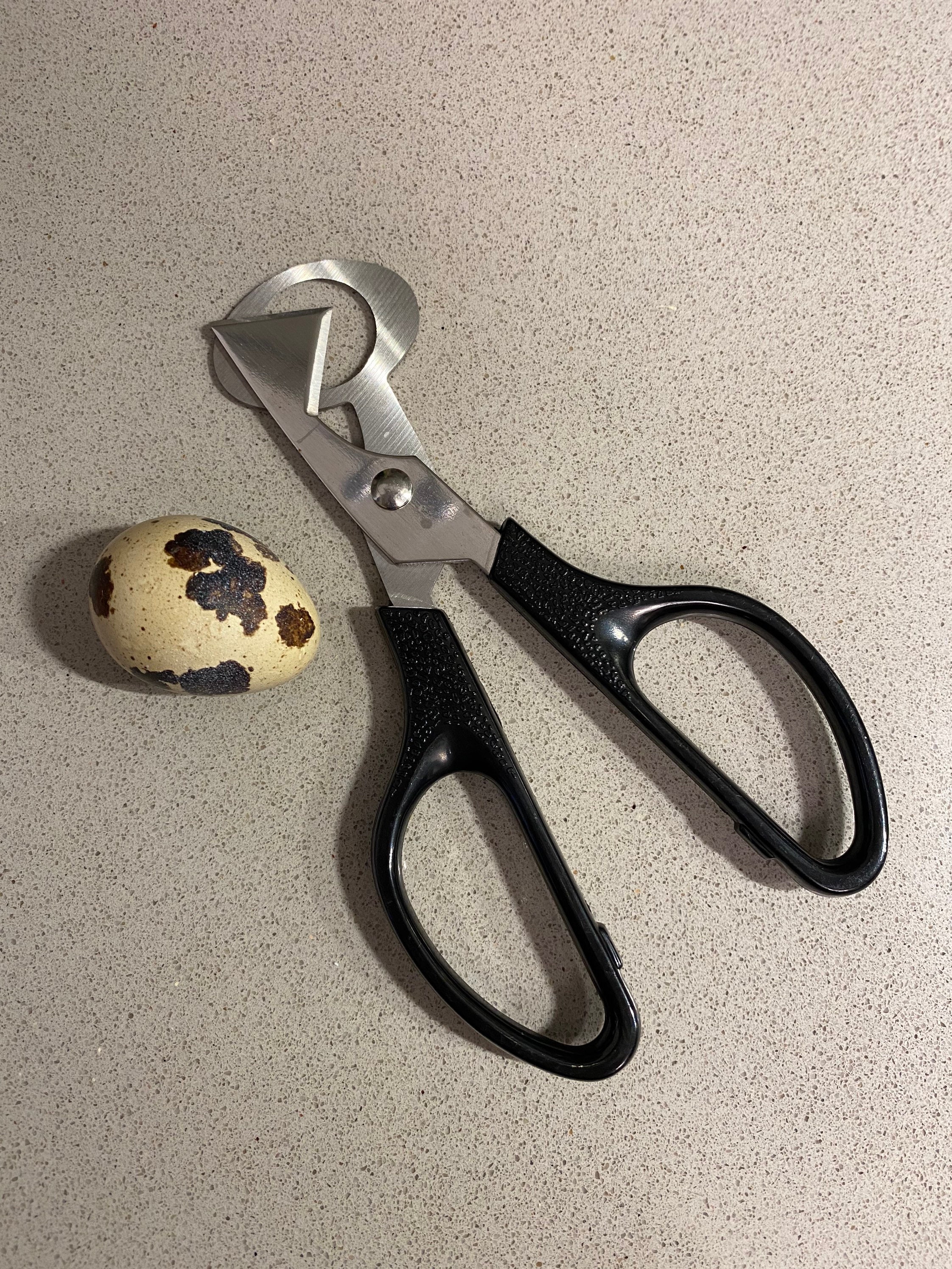 Quail Egg Cutters - Etsy