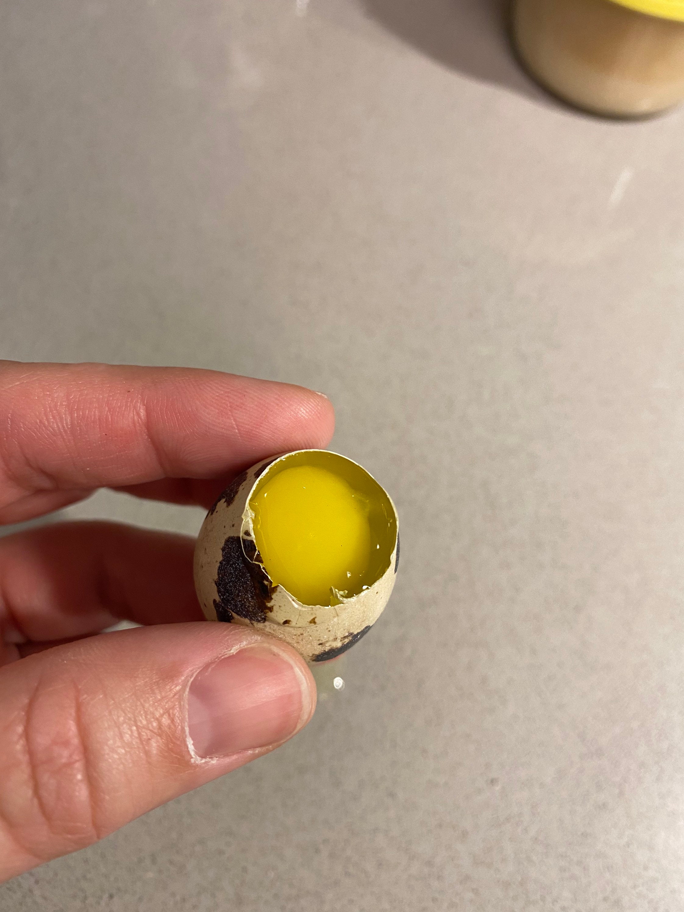 Quail Egg Cutters - Etsy