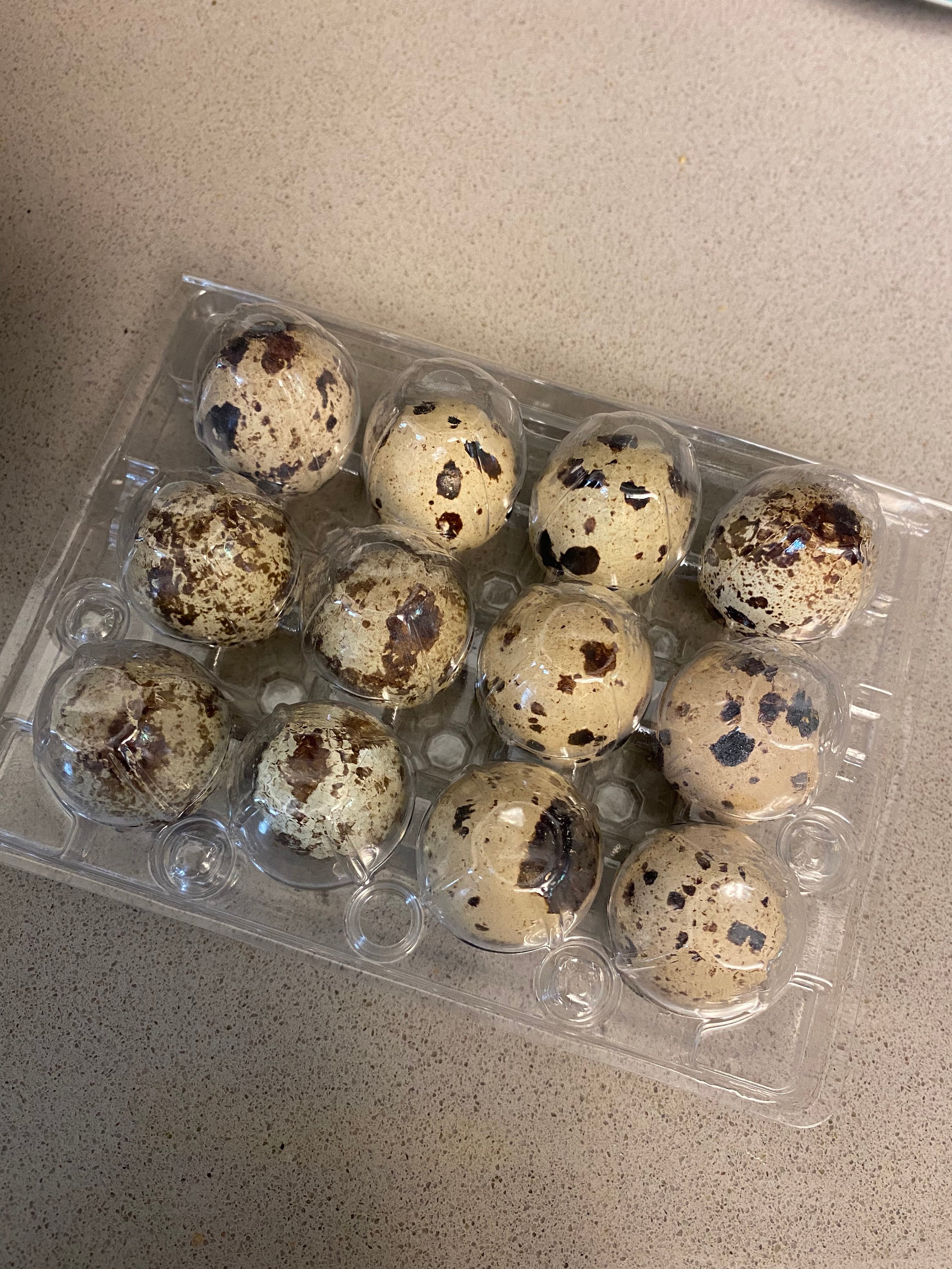 Quail Egg Shells for Crafts cut Top - Etsy