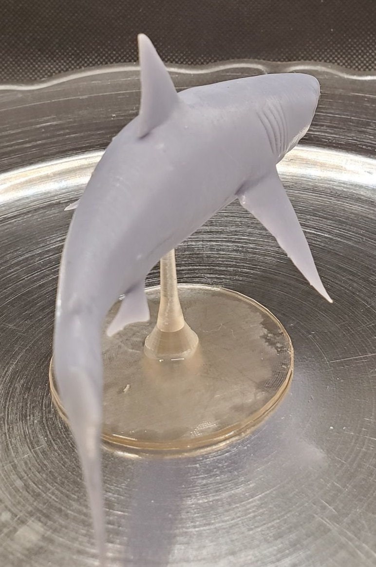 Giant Shark Resin Printed Mini Hand Painted Paint Primed - Etsy