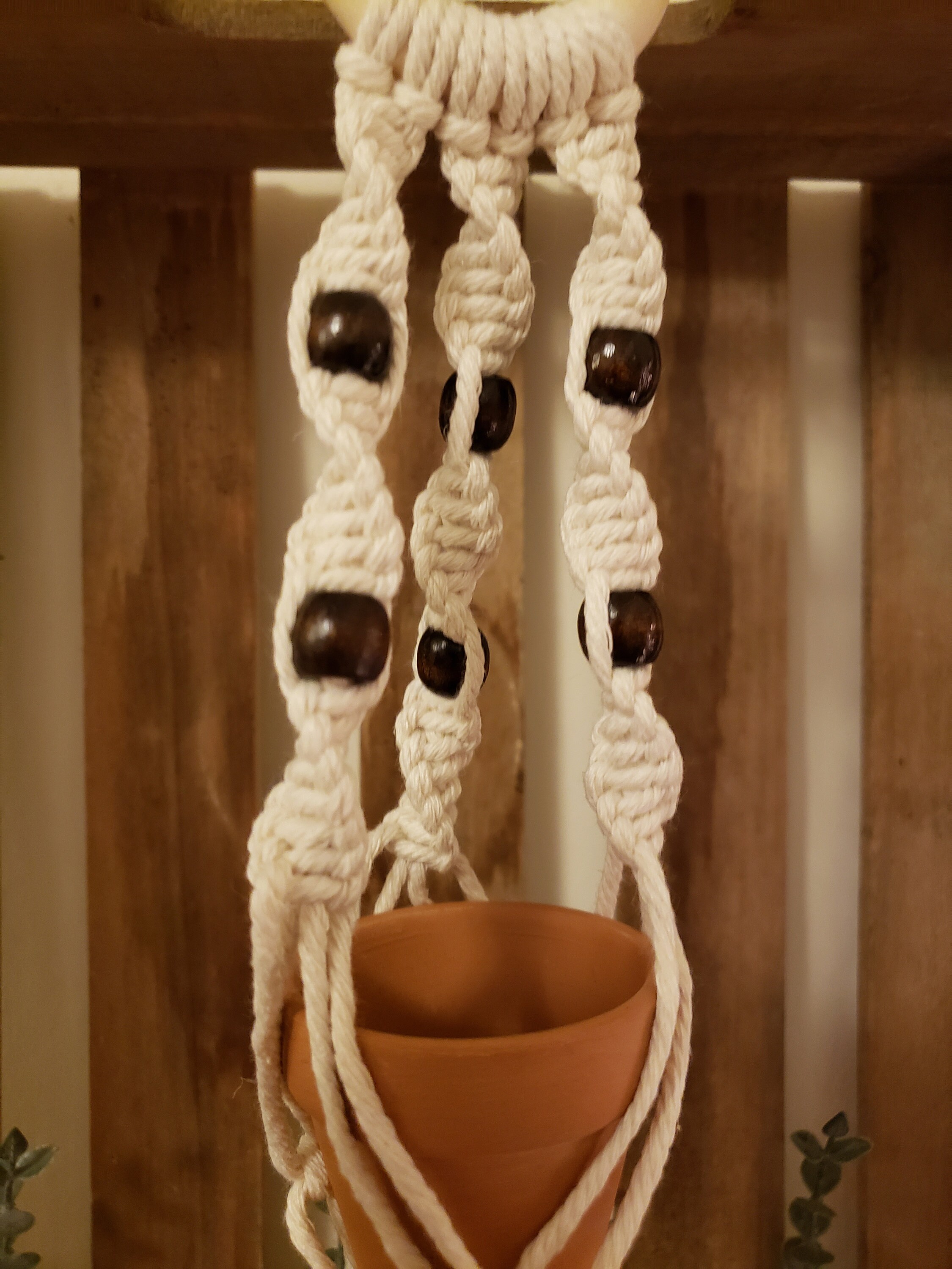 Mini Plant Holder 2 Inch Pot Included - Etsy