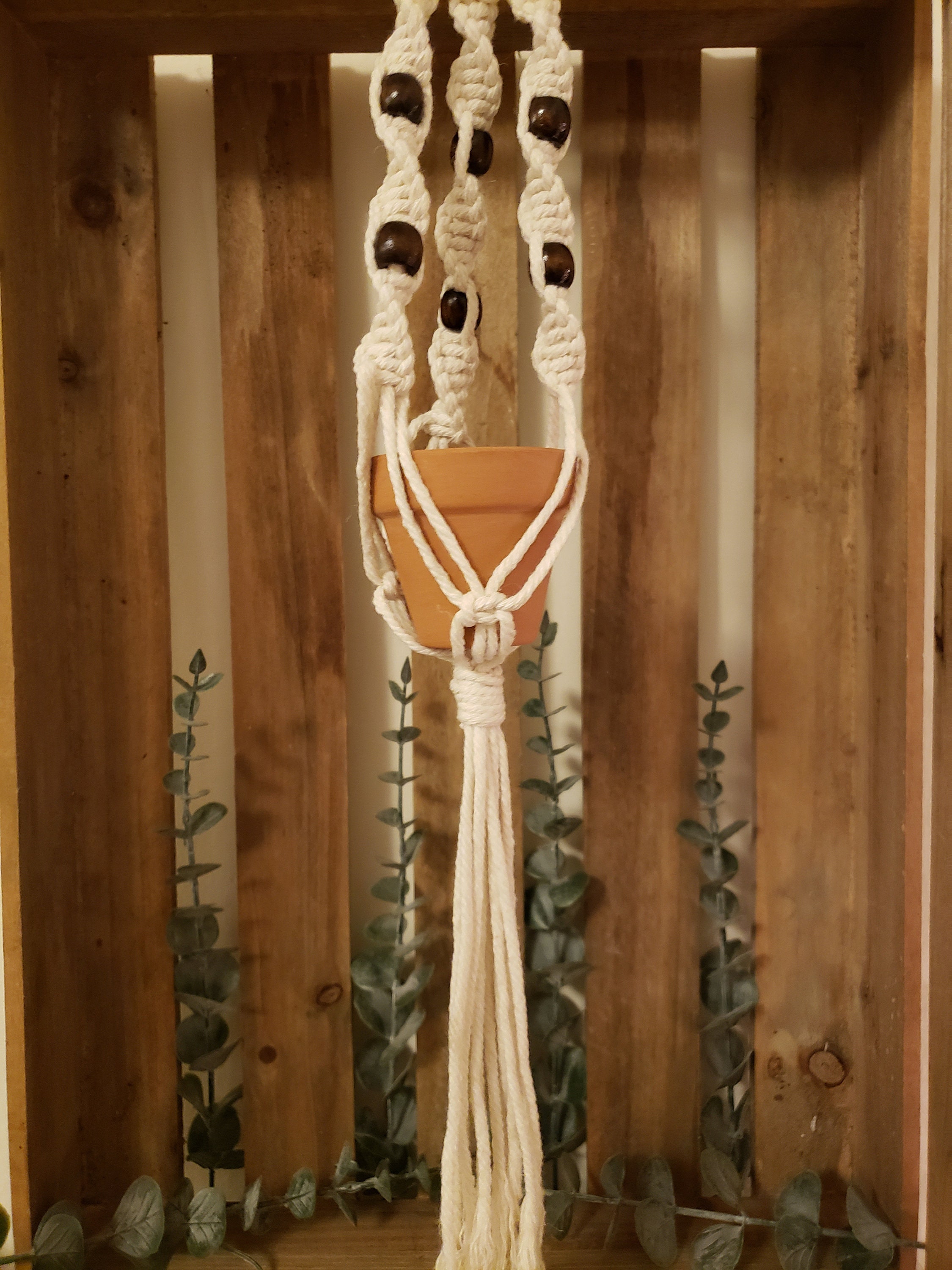 Mini Plant Holder 2 Inch Pot Included - Etsy