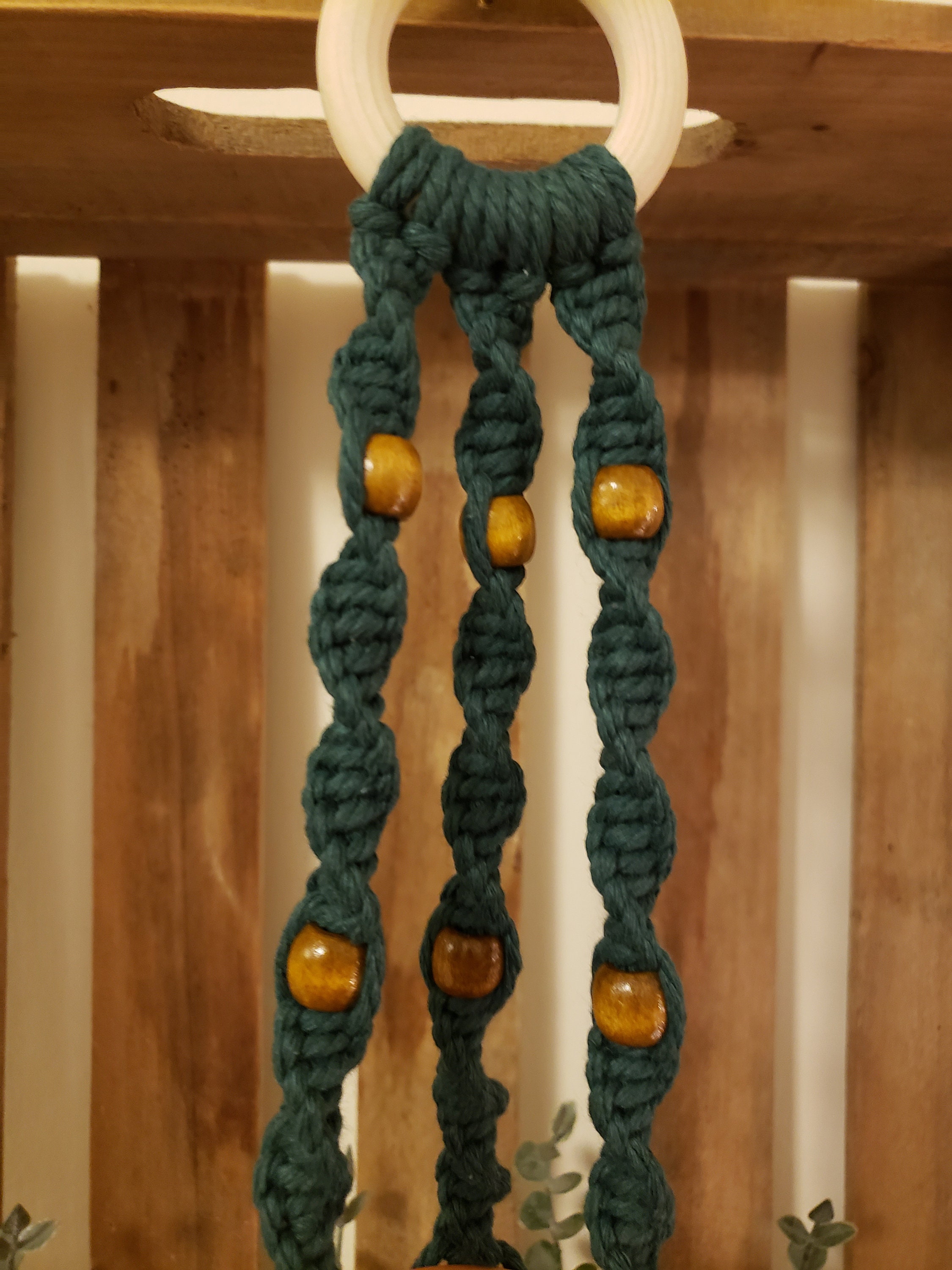 Mini Plant Holder 2 Inch Pot Included - Etsy