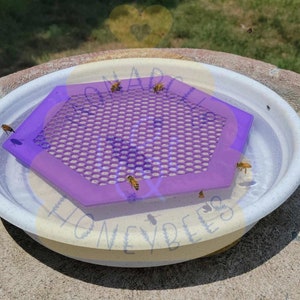 Floating Bee Island, Bee Waterer, Bee Water Station, Colorful Bee ...