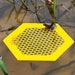 Floating Bee Island, Bee Waterer, Bee Water Station, Colorful Bee ...