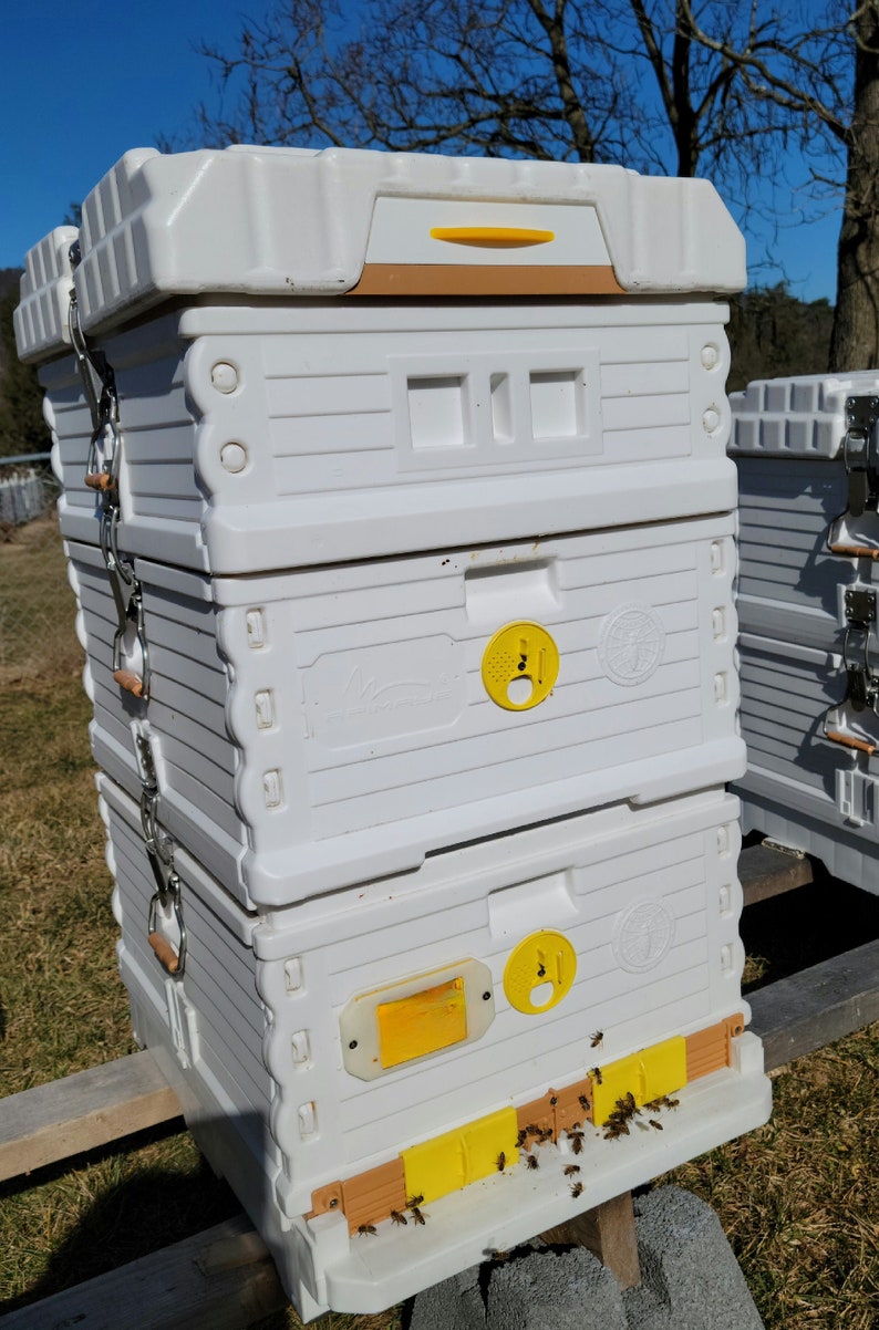 Apimaye Front and Back Vent Cover - Etsy