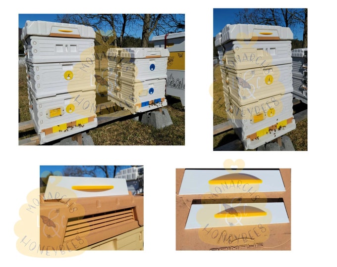 Beehive Rain and Snow Visor Awning for Beehive Snow and Rain Protection ...