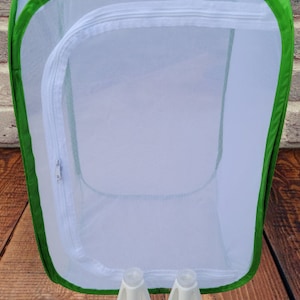 Monarch Butterfly Raising Kit- Butterfly Raising Kit, Milkweed Floral ...