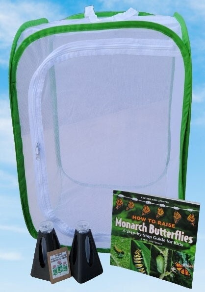Monarch Butterfly Raising Kit Butterfly Raising Kit Milkweed - Etsy