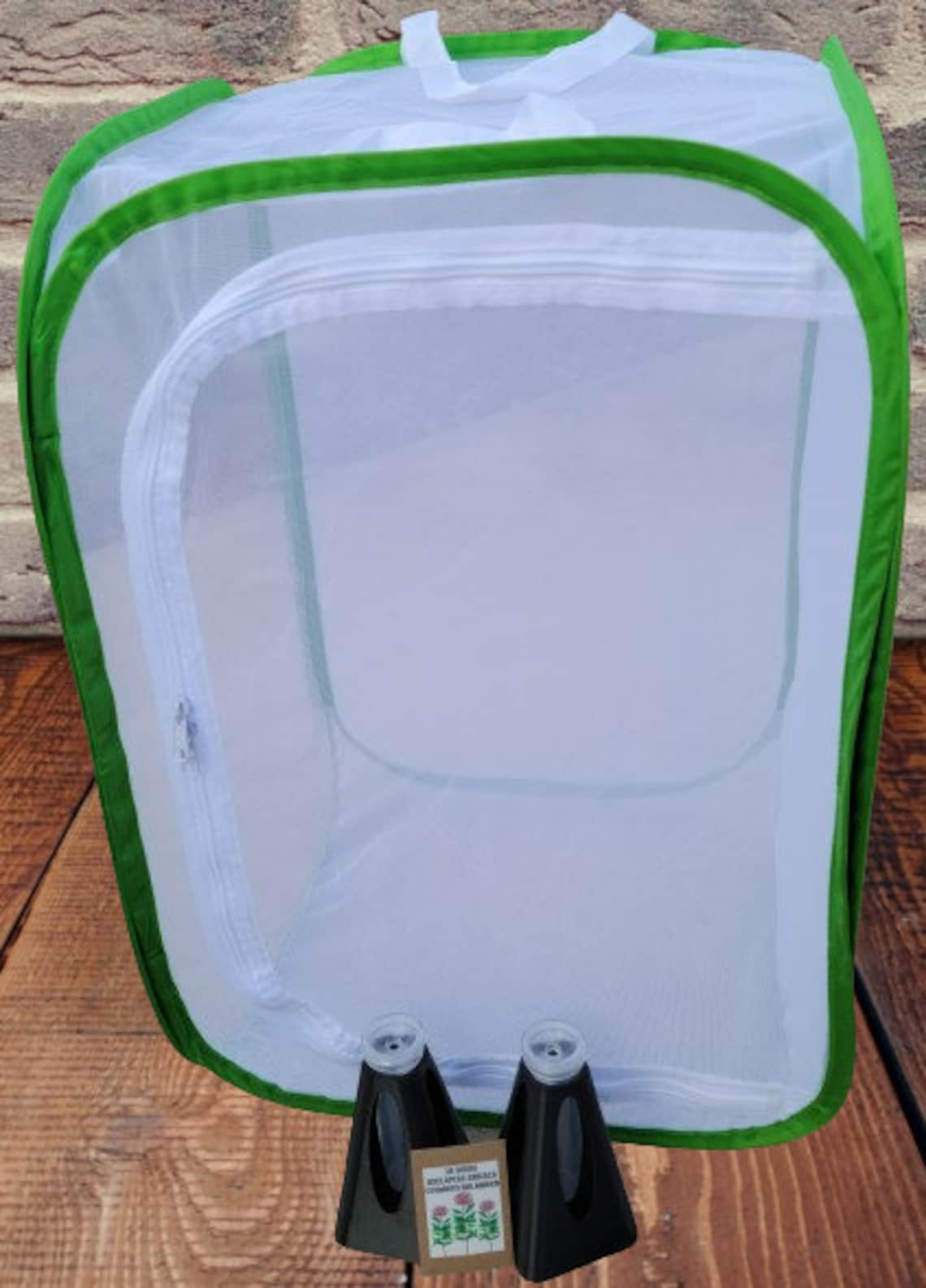 Monarch Butterfly Raising Kit Butterfly Raising Kit Milkweed - Etsy