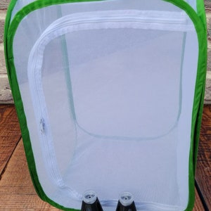 Monarch Butterfly Raising Kit Butterfly Raising Kit, Milkweed Floral ...