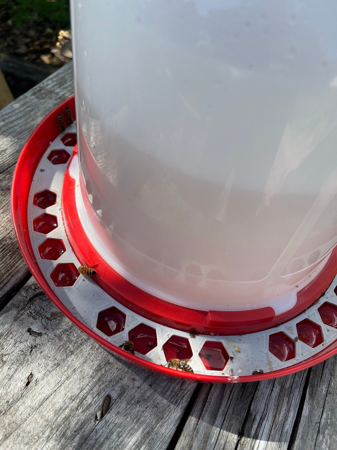Bee Waterer Ring-designed to Fit Inside the "flock Party 5 Qt. Poultry ...
