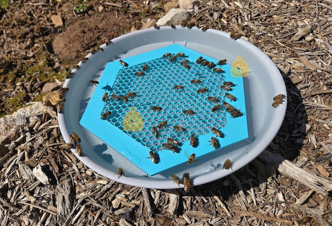 Floating Bee Island, Bee Waterer, Bee Water Station, Colorful Bee ...