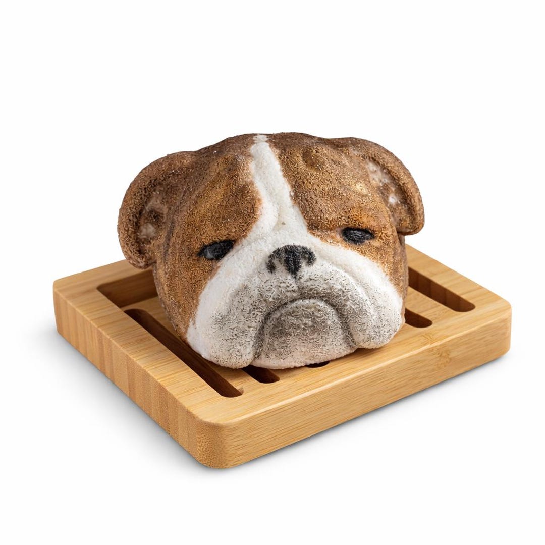 Nglish Bulldog Bath Bomb: Cute Dog Bath Bomb Gift Box Perfect Gift for ...