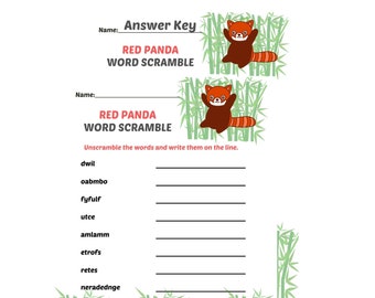 Red Panda Worksheet - Etsy