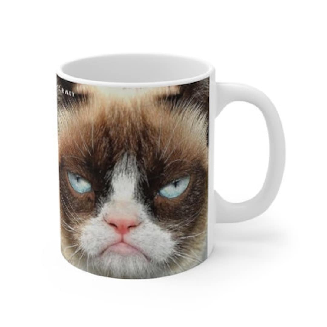 Funny Grumpy Cat Pictures