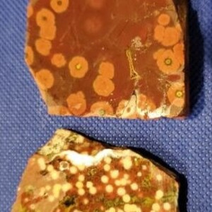 Pair of Vivid Red Orbicular Jasper Slabs - Etsy
