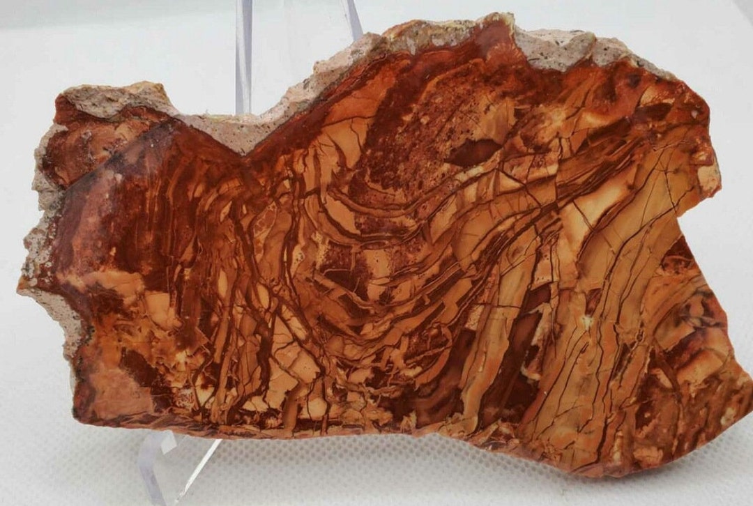 Large and Beautiful Morrisonite Jasper Slab. - Etsy
