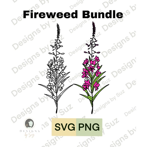 Alaskan Fireweed - Etsy