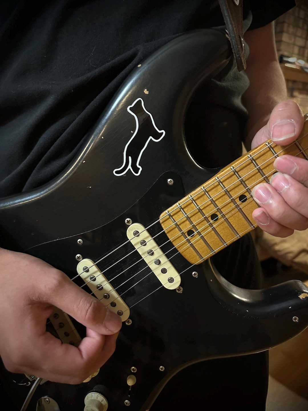 David Gilmour Black Cat Guitar Decal Sticker Luck and Strange Black ...